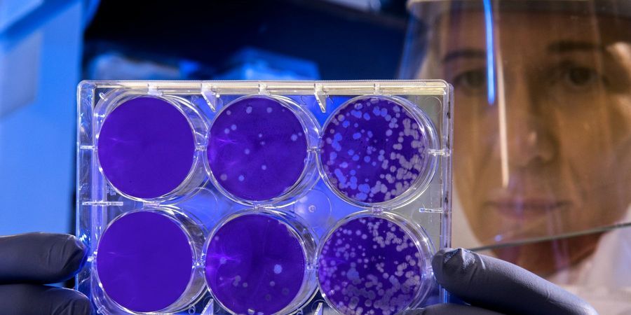 Spotlight on Cell Biology: Cell biology takes the stage | Drug ...