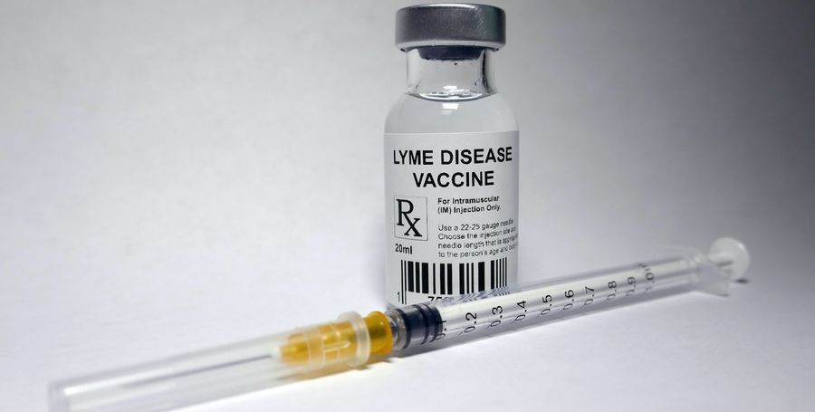 Valneva expands development for potential Lyme vaccine | Drug Discovery ...