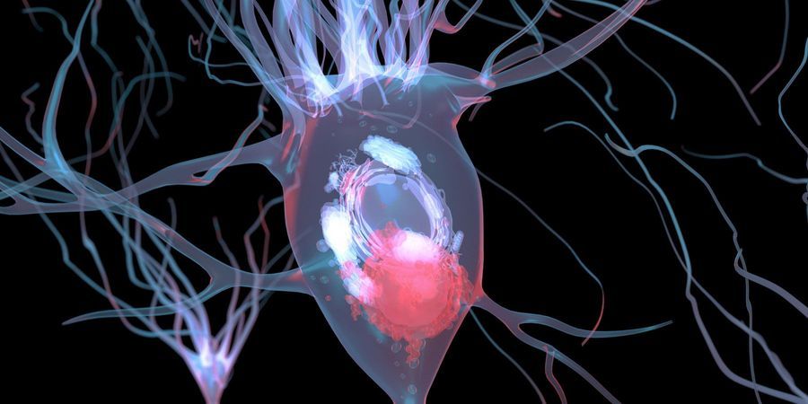 A first-in-class diagnostic for Parkinson’s disease | Drug Discovery News