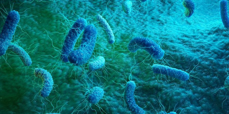 Harnessing Electricity-Producing Bacteria | Drug Discovery News