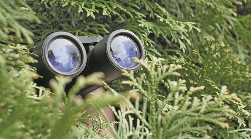 Real-world data to the rescue | Drug Discovery News