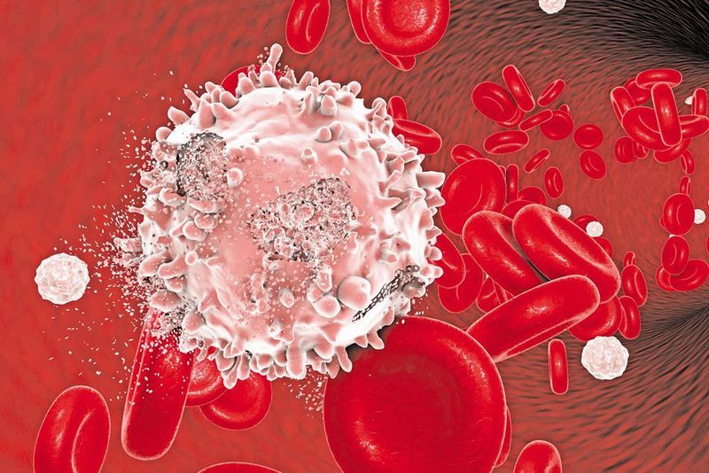 Killing cancer cells by stressing them out | Drug Discovery News