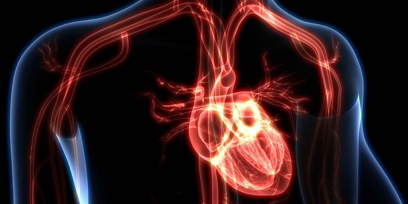 CRISPR advances cardiovascular disease research | Drug Discovery News