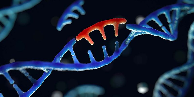 Harnessing cells' own RNA editing tools for new therapeutics | Drug ...