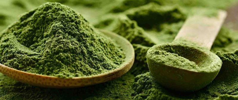 From superfood to medicine maker, spirulina is a new cellular factory ...