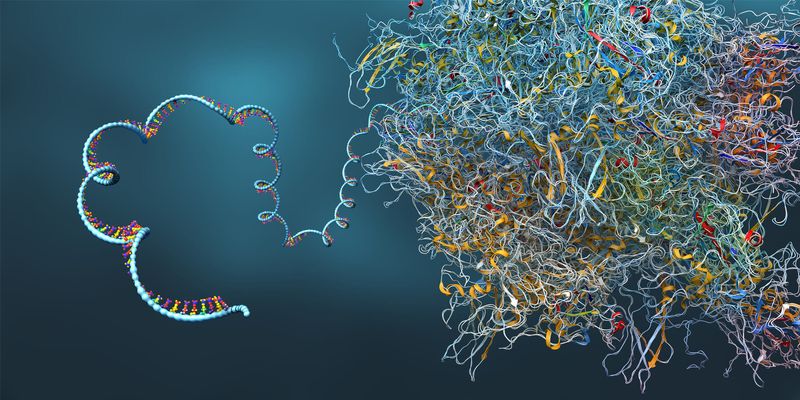 New RNA-editing tools expand therapeutic toolkits | Drug Discovery News