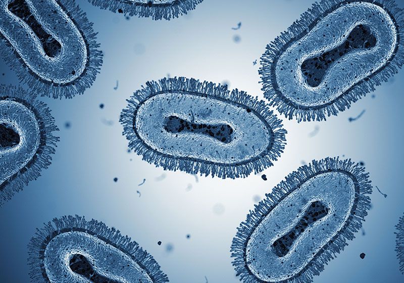 What the Pox is Going On? | Drug Discovery News