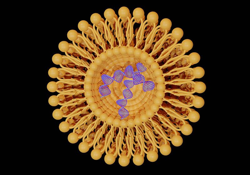 A Big Step Forward: Large Scale Viral Vector Production | Drug ...