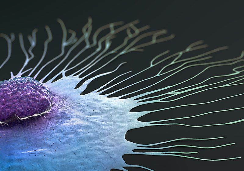 Best of Cancer Research | Drug Discovery News