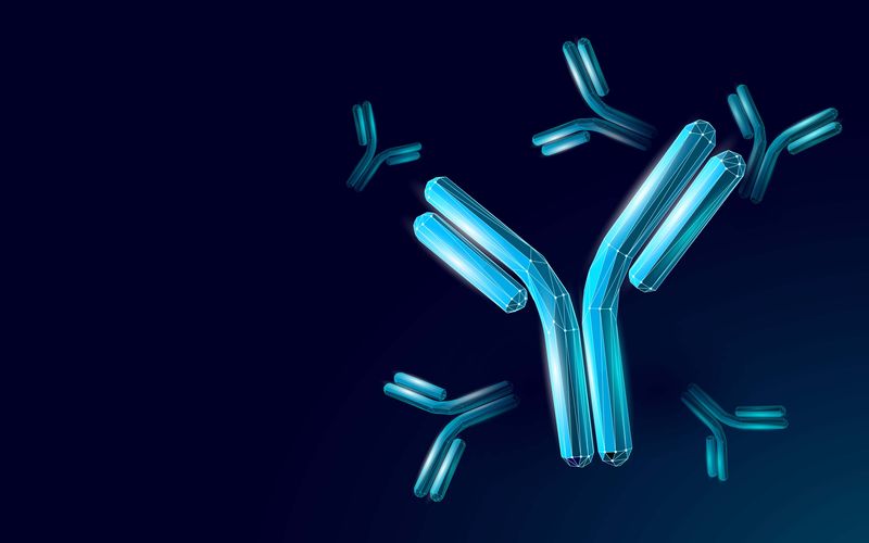 High Throughput Antibody Characterization | Drug Discovery News