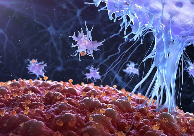 Best of Immunology Research | Drug Discovery News