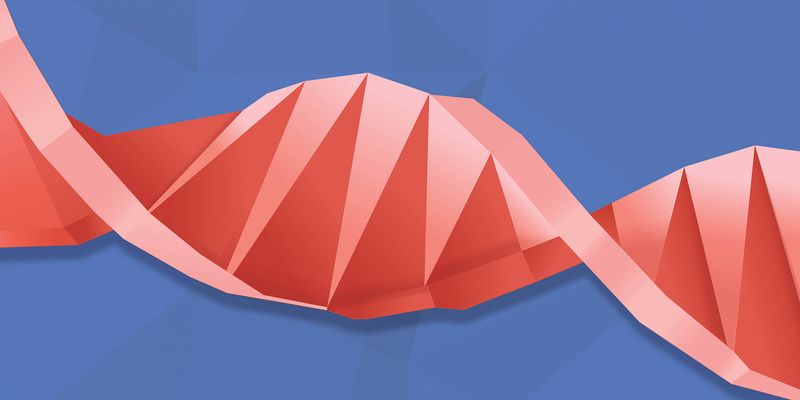 Origami vaccines fold up to fight cancer | Drug Discovery News