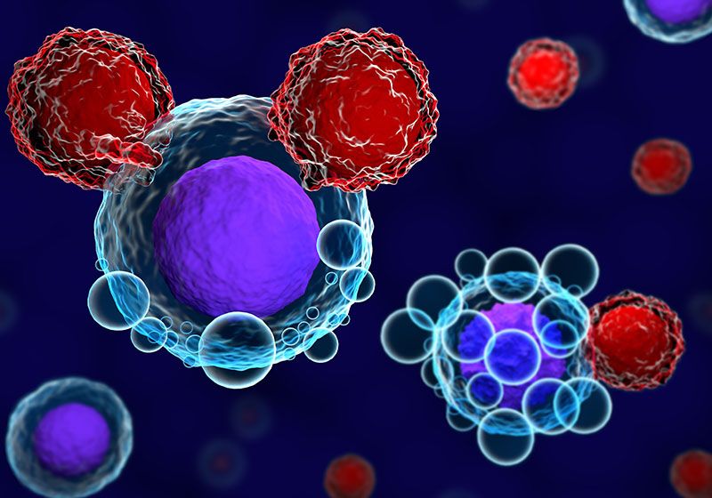 Science Milestone: Driving T cell therapy | Drug Discovery News