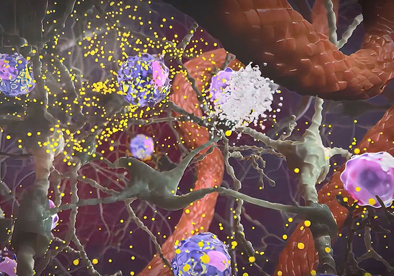 Interactions between immune cells and diverse cellular partners | Drug ...