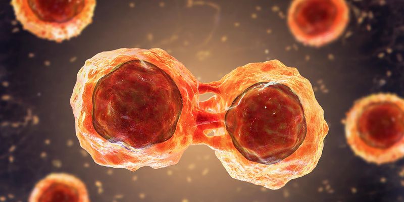 Blood stem cells without a donor | Drug Discovery News