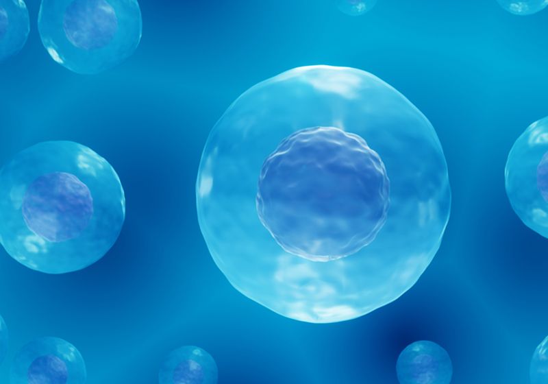 Making cell replacement therapies effective and scalable | Drug ...