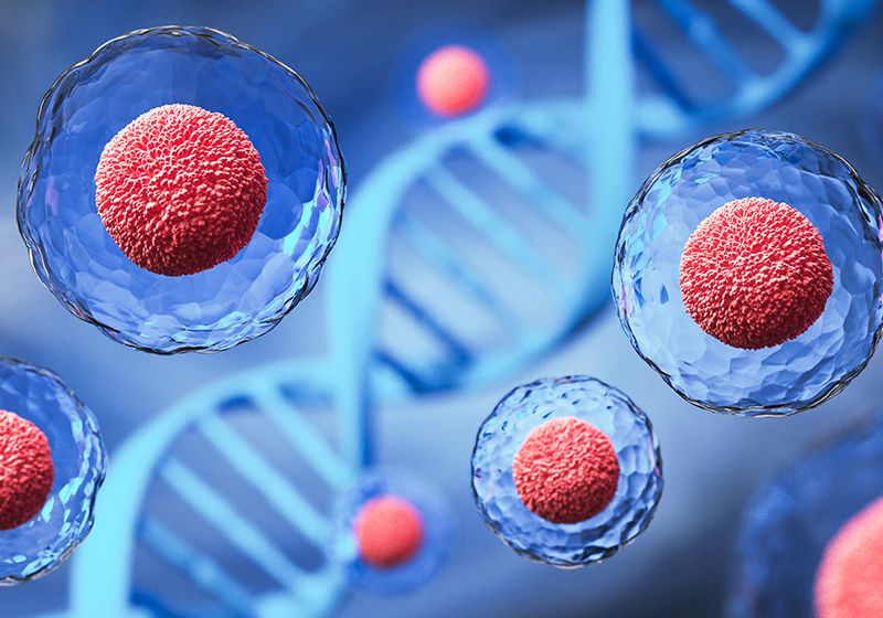 Making induced pluripotent stem cells universal | Drug Discovery News