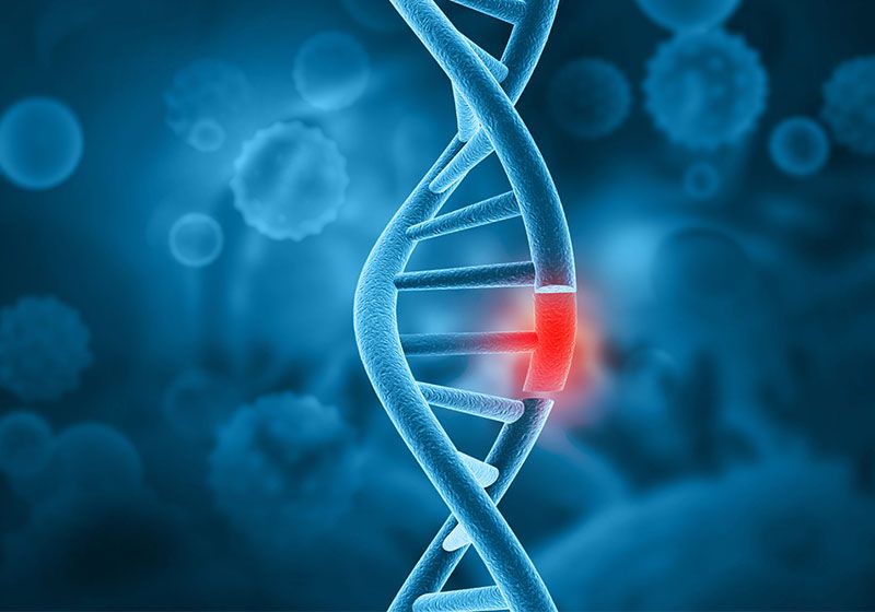 Single Nucleotide Polymorphism Genotyping Drug Discovery News