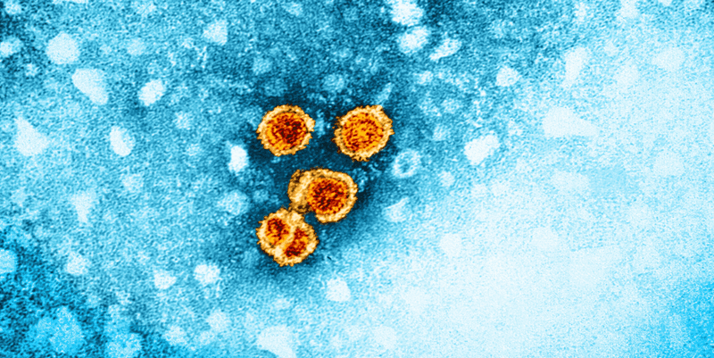 Recombinant polyclonal antibodies for viral diseases | Drug Discovery News