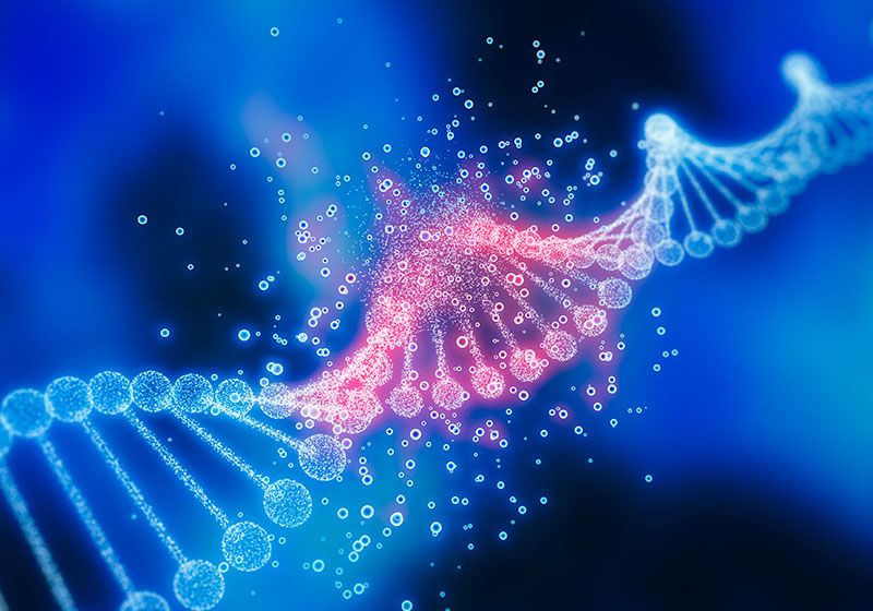 Science Milestone: The evolution of gene therapy | Drug Discovery News