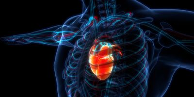 Injectable hydrogel to end painful shocks | Drug Discovery News