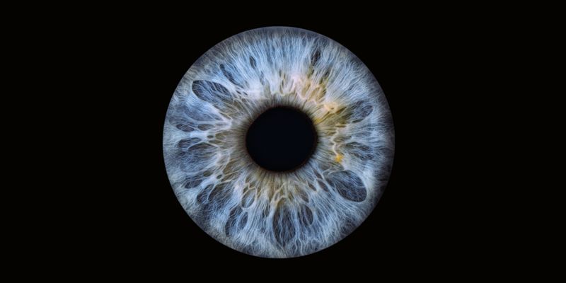 Restoring color vision with gene therapy | Drug Discovery News
