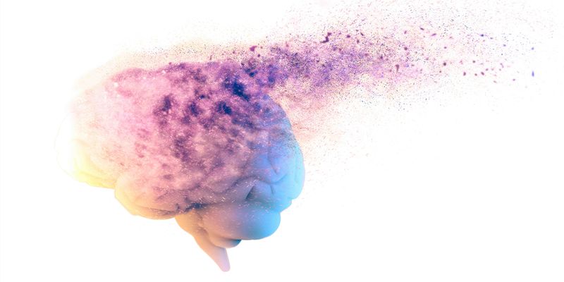 With a protein boost, nucleotide drugs get to the brain | Drug ...