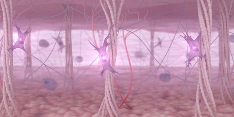 Targeting extracellular matrix factors to regulate autoimmune ...