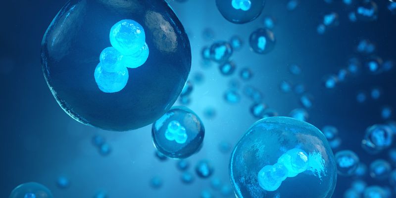 Supercharging cell line development and engineering with automated single cell sorting | Drug ...