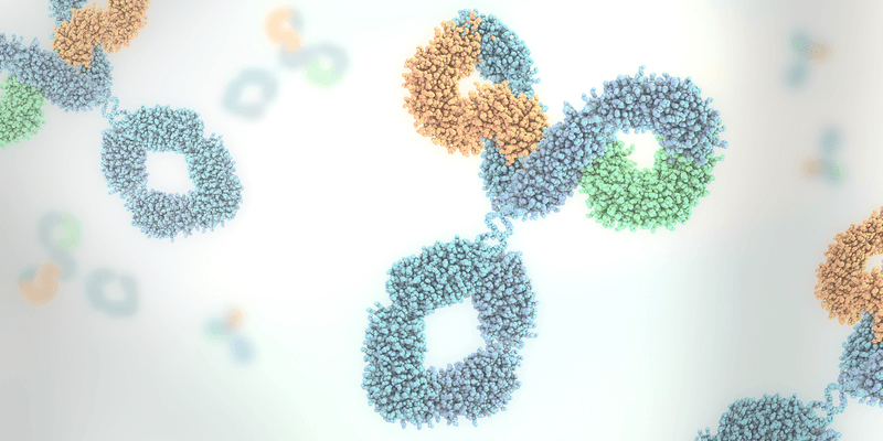 Bispecific antibody design handbook | Drug Discovery News