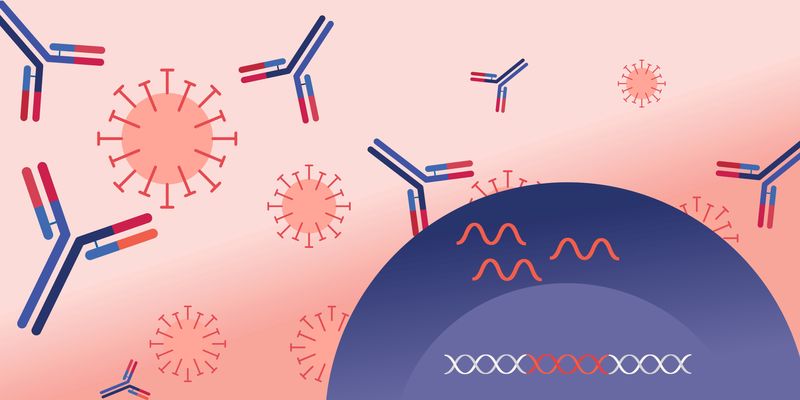 Anticorps et VIH : Renforcer l'immunité - Nouvelles Du Monde