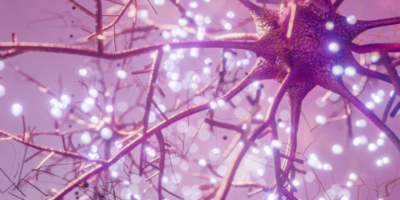 Why oxygen matters in neuronal cell culture | Drug Discovery News