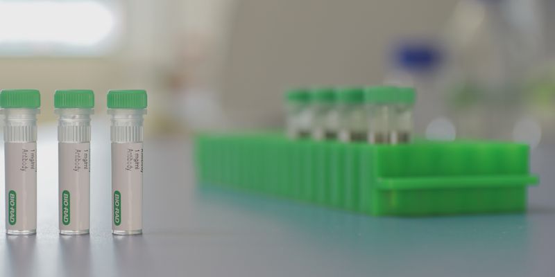 Bio-Rad Extends Anti-Idiotypic Antibody and SpyCatcher Reagent Ranges ...