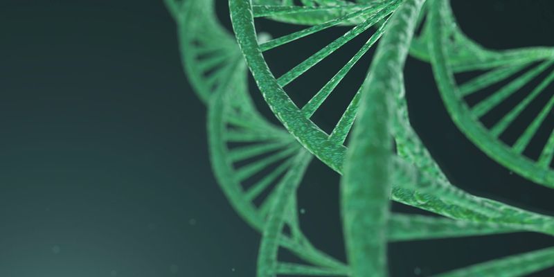 Ditch the dyes for smarter genomics quant with Lunatic | Drug Discovery ...