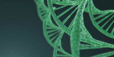 Eleva | Drug Discovery News