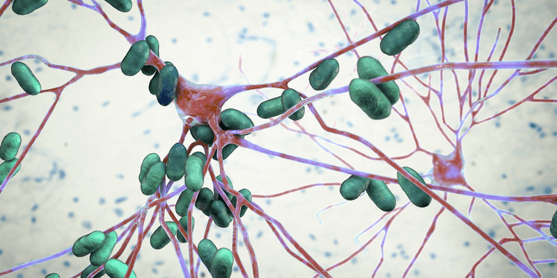 Novartis to buy Avidity Biosciences for $12B, expands RNA drug ...