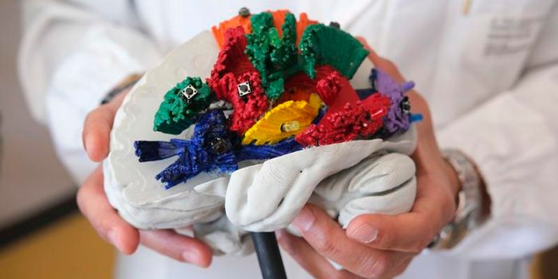 Weekly Rundown: 3D brain atlas links anatomy and imaging to map white ...
