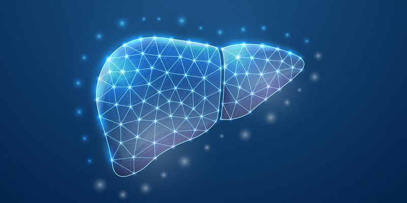 AI-enabled 3D liver microtissue analysis for improved toxicity ...