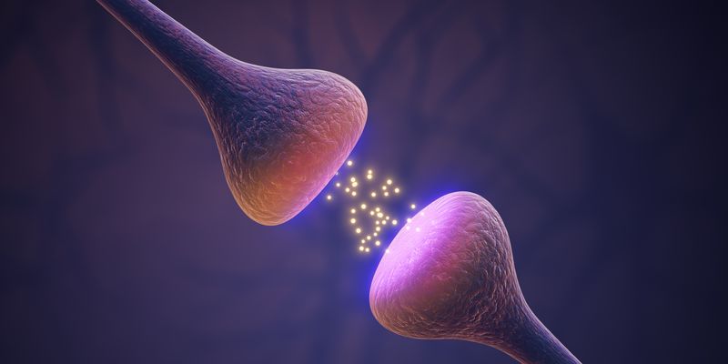 Can one drug repair the brain across multiple CNS diseases? | Drug ...