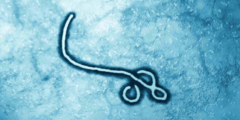News | Drug Discovery News