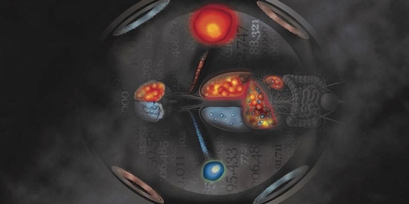 How magnetic particle imaging is giving cell therapy a navigation ...