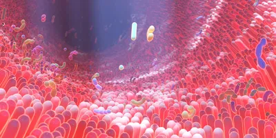 Exploring the microbiome’s role in cancer treatment | Drug Discovery News