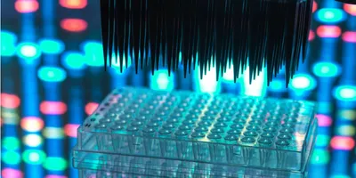 How to run a successful high-throughput screening campaign | Drug ...