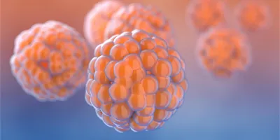 Advancing cancer research with bioprinted 3D cell models | Drug ...