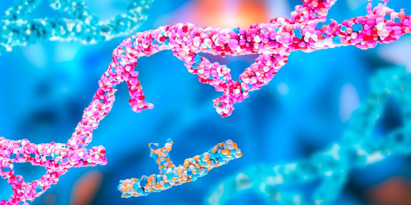 The off-target problem the gene editing industry can no longer afford ...